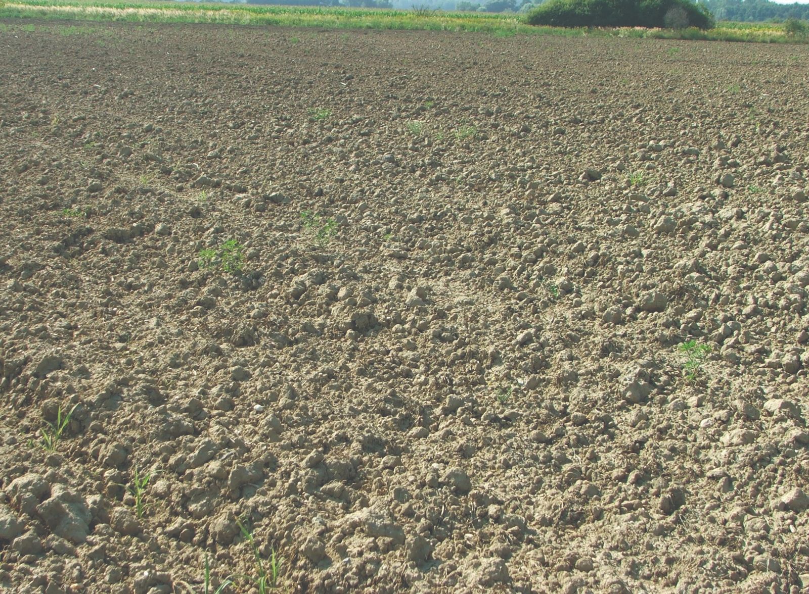 Ugar u suvremenoj poljoprivrednoj proizvodnji - Gospodarski list