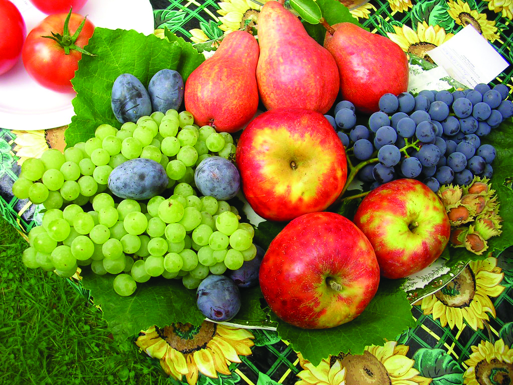 Početak jeseni – vrijeme obilja - Gospodarski list