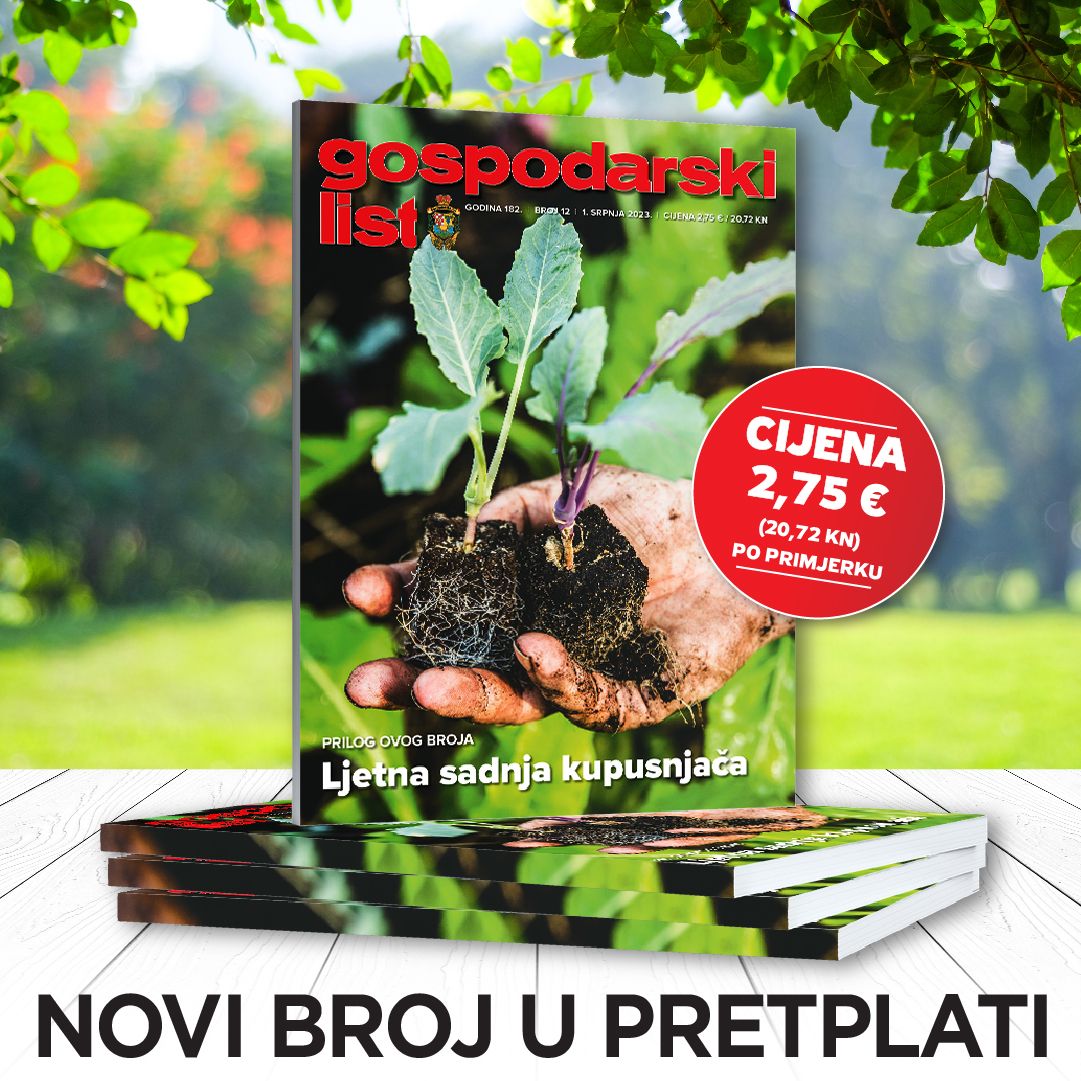 skupljanje školjkaša i morskih puževa - Gospodarski list