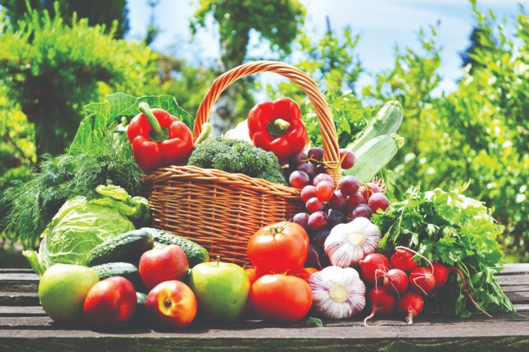 Kako planirati plodored u povrtnjaku? - Gospodarski list