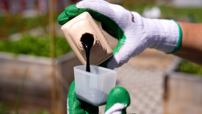 Kako planirati plodored u povrtnjaku? - Gospodarski list