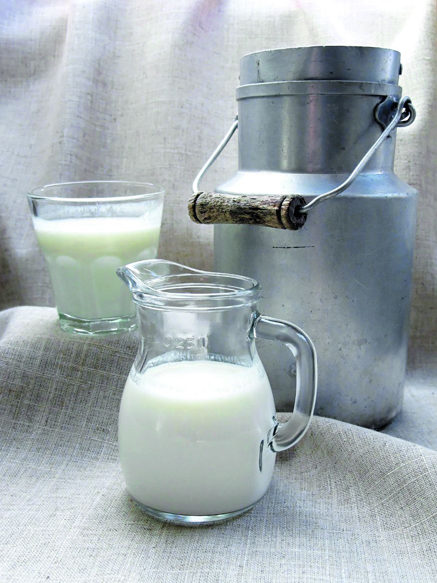 Znate li kako se dobiva mlijeko u prahu? - Gospodarski list