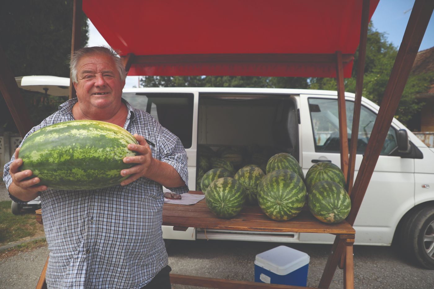 Podravska lubenica uspijeva i bez navodnjavanja! - Gospodarski list