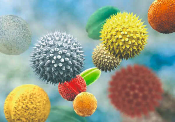 Biljke koje izazivaju alergiju i ljekoviti pripravci koji ublažavaju ...