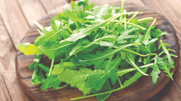 Rikula - posijte biljku skromnih zahtjeva - Gospodarski list