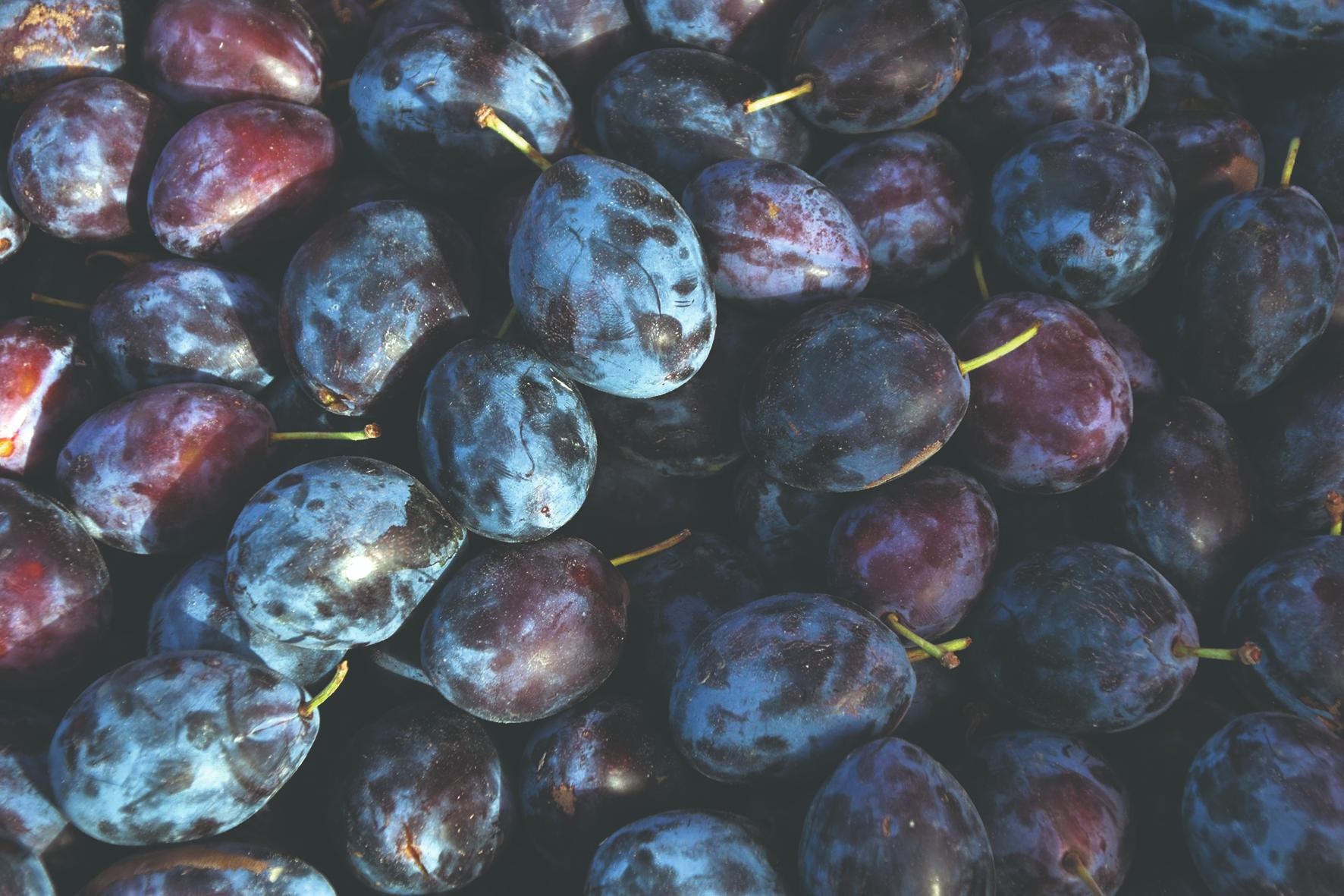 Zašto je šljiva jedna od najomiljenijih voćaka? - Gospodarski list