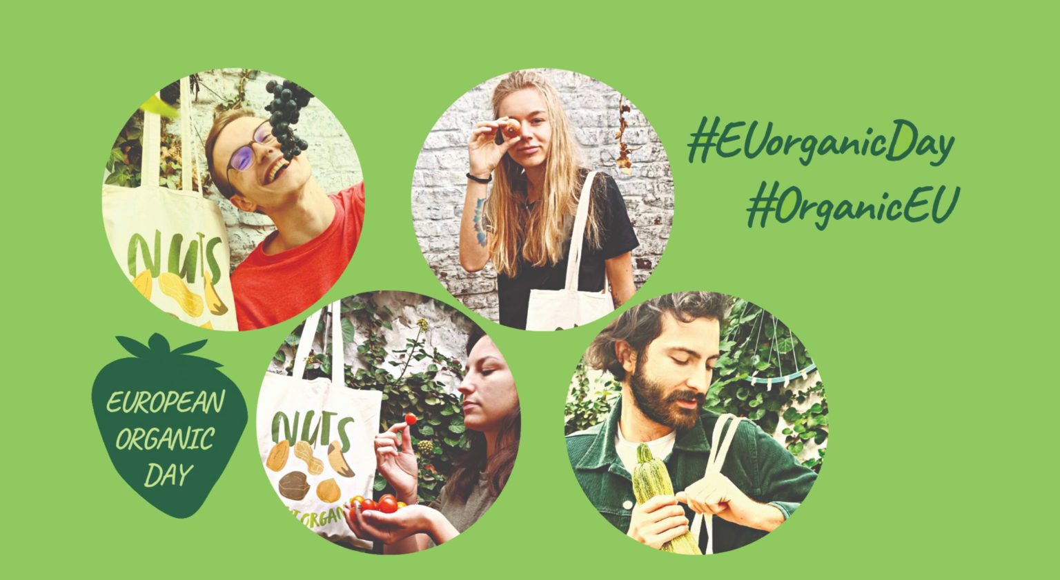 Kako planirati plodored u povrtnjaku? - Gospodarski list