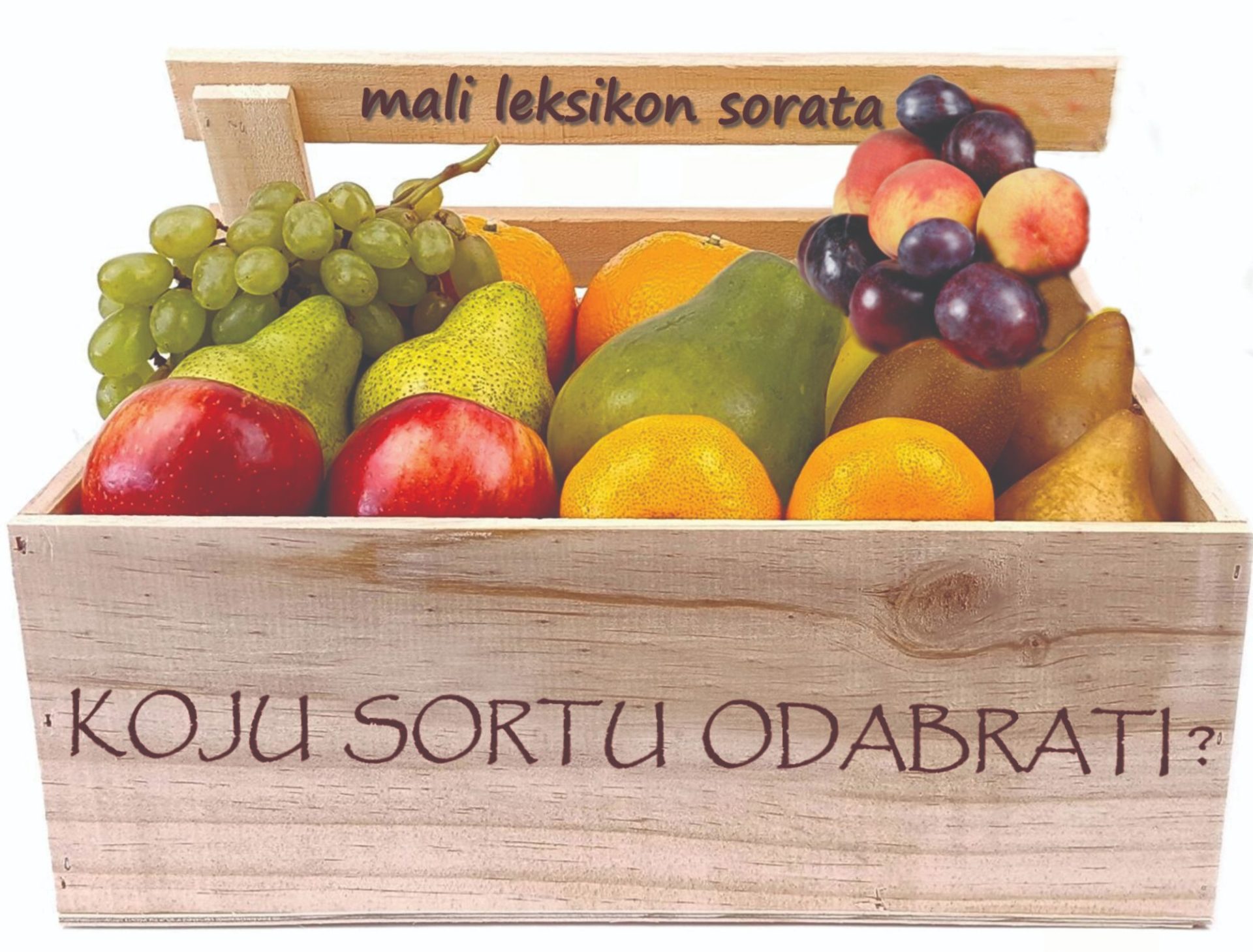 Dunja – koju sortu odabrati? - Gospodarski list