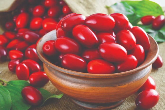 Drijen - upotreba i ljekovitost - Gospodarski list