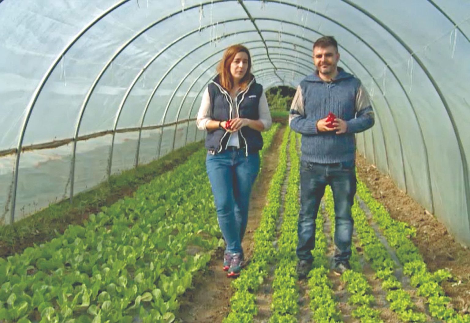 OPG Novak - odustajanje nikad nije bila opcija! - Gospodarski list