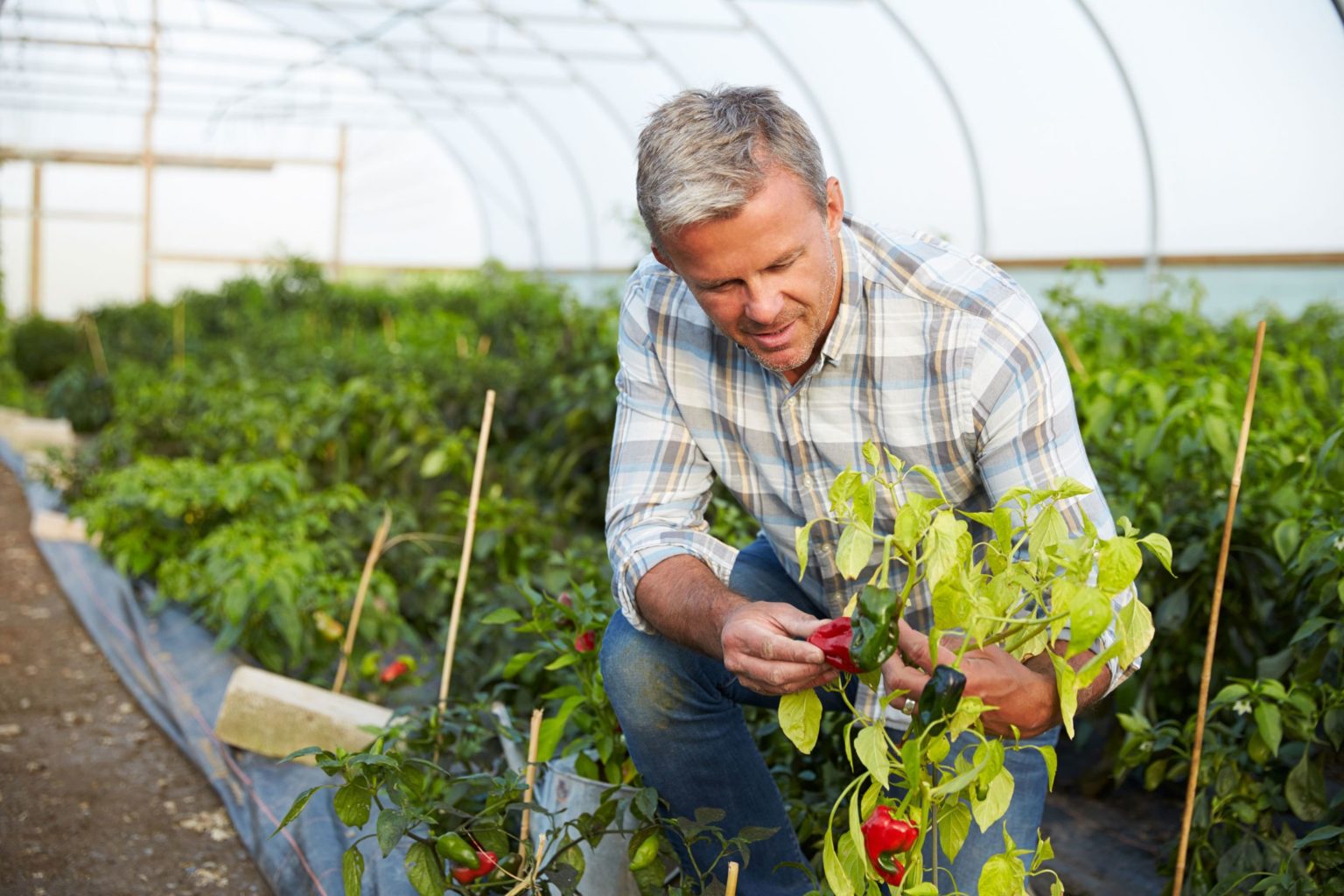 Kako spriječiti štete od rovca? - Gospodarski list