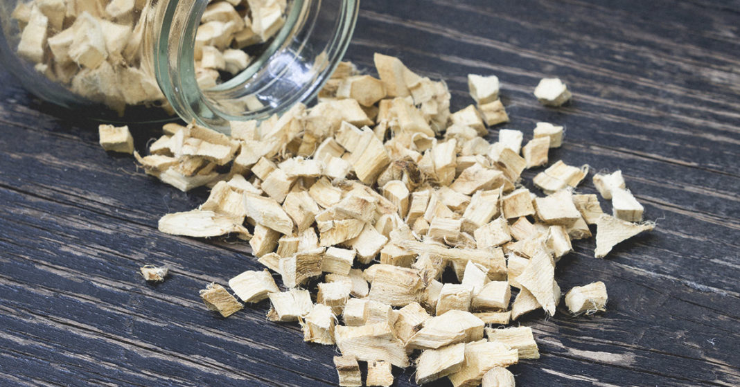 Bijeli sljez – saveznik za naše zdravlje - Gospodarski list