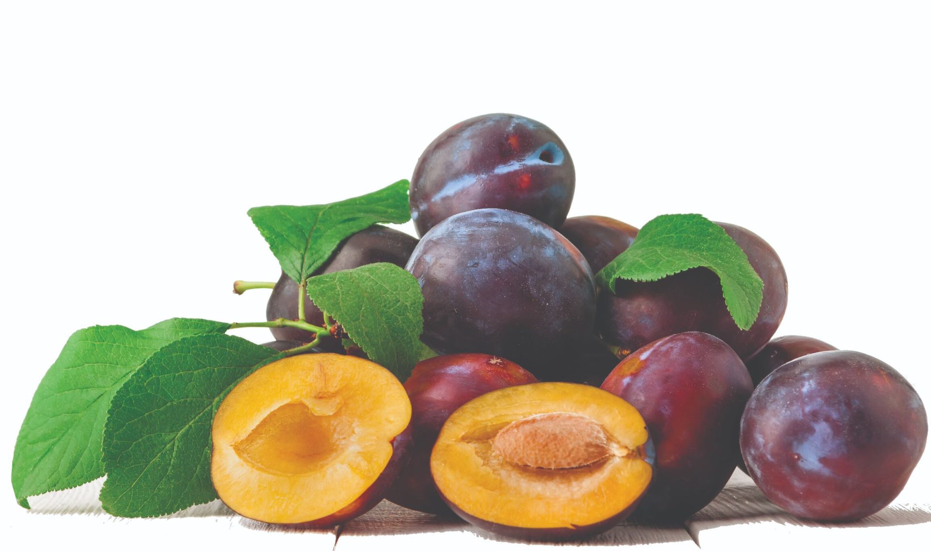 Stolne sorte šljiva - Gospodarski list