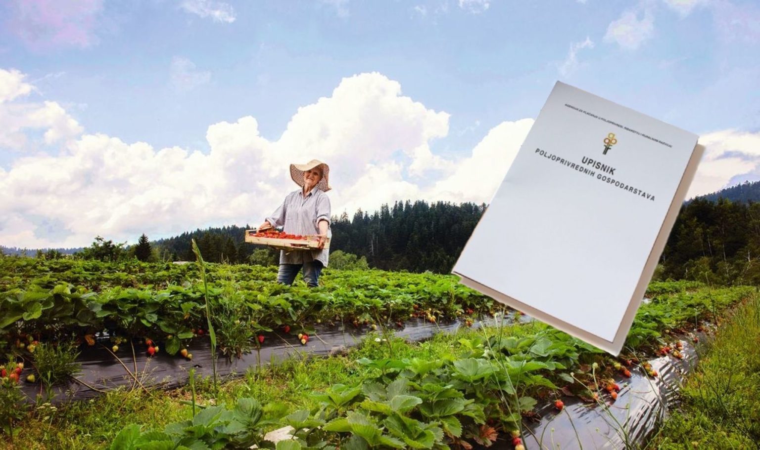 Što donosi novi Pravilnik o Upisniku obiteljskih poljoprivrednih ...