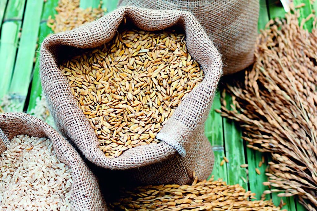 Kakva je kvaliteta ovogodišnjih žitarica? - Gospodarski list