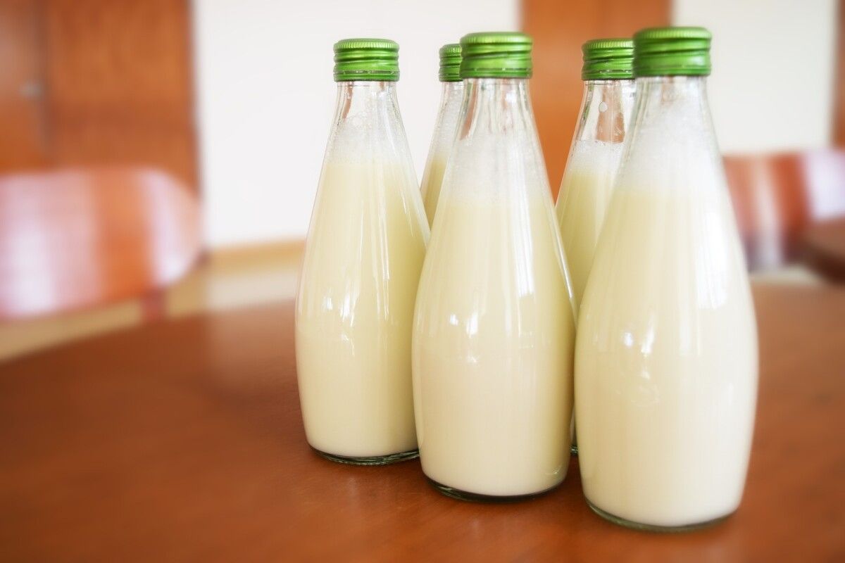 Razlika između acidofila i kefira - Gospodarski list