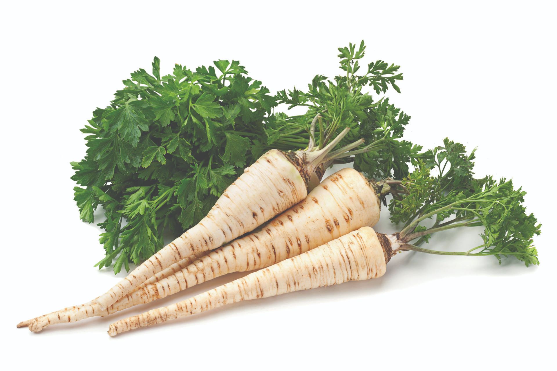 Koristite peršin jer je hranjiv i ljekovit - Gospodarski list