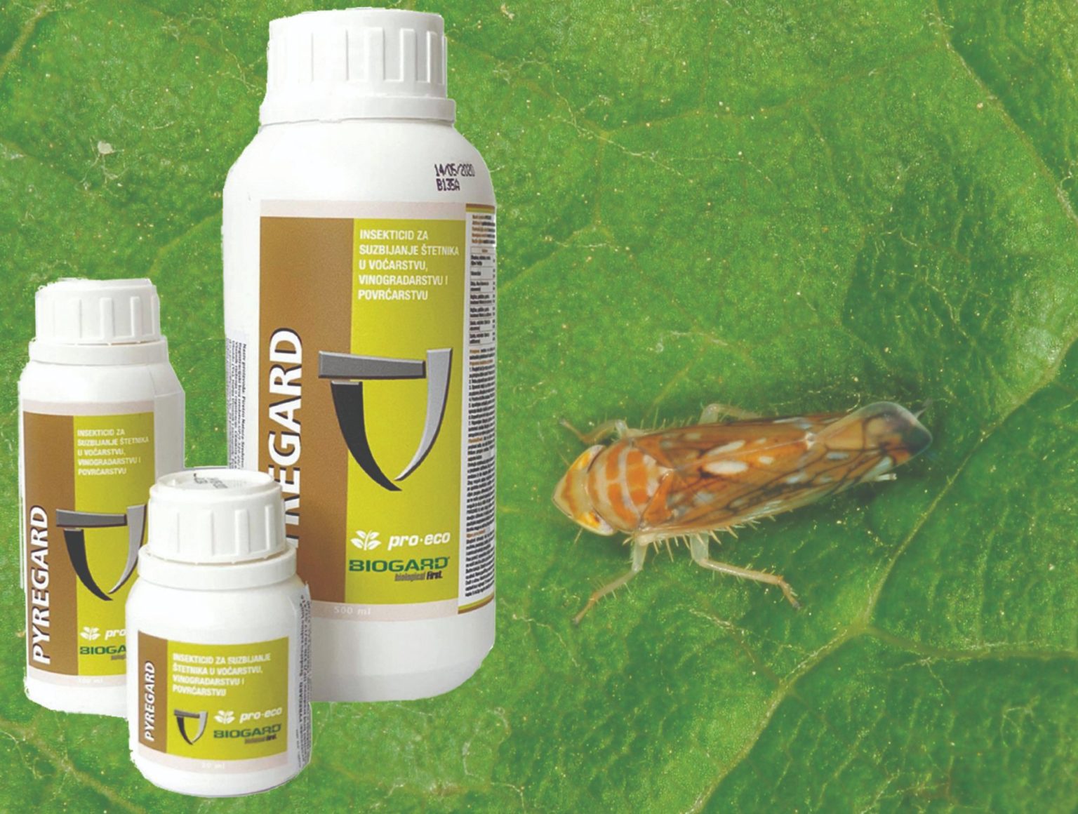 Riješite se štetnika na ekološki način pomoću insekticida Neemazal ® T ...